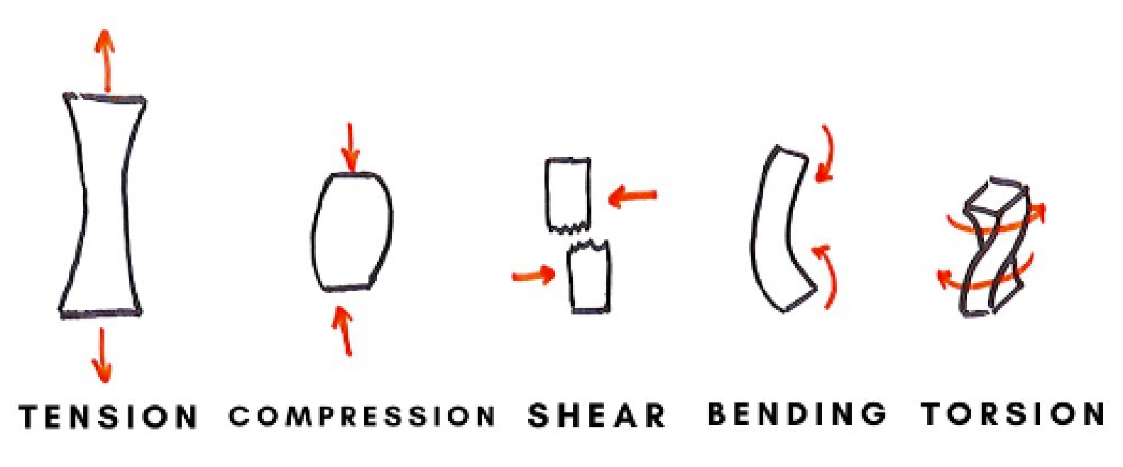 Structures Final Lectures Study Guide Flashcards | Knowt